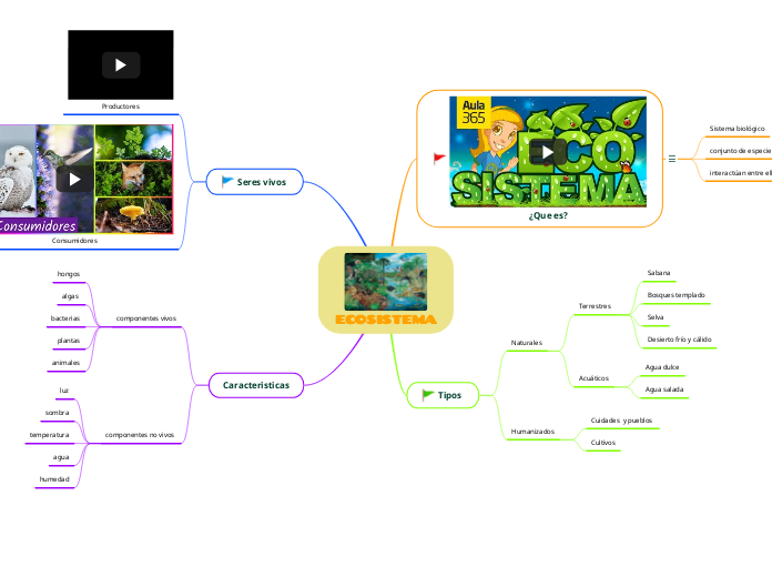 ECOSISTEMA - Mind Map